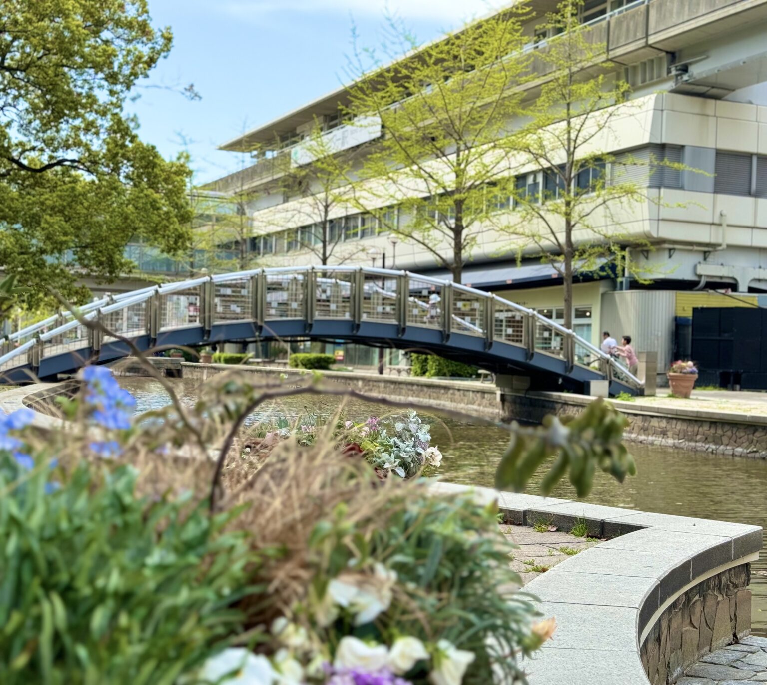 Chloe's Ultimate Travel Guide to Exploring Kobe in 1 Day - The Roads ...