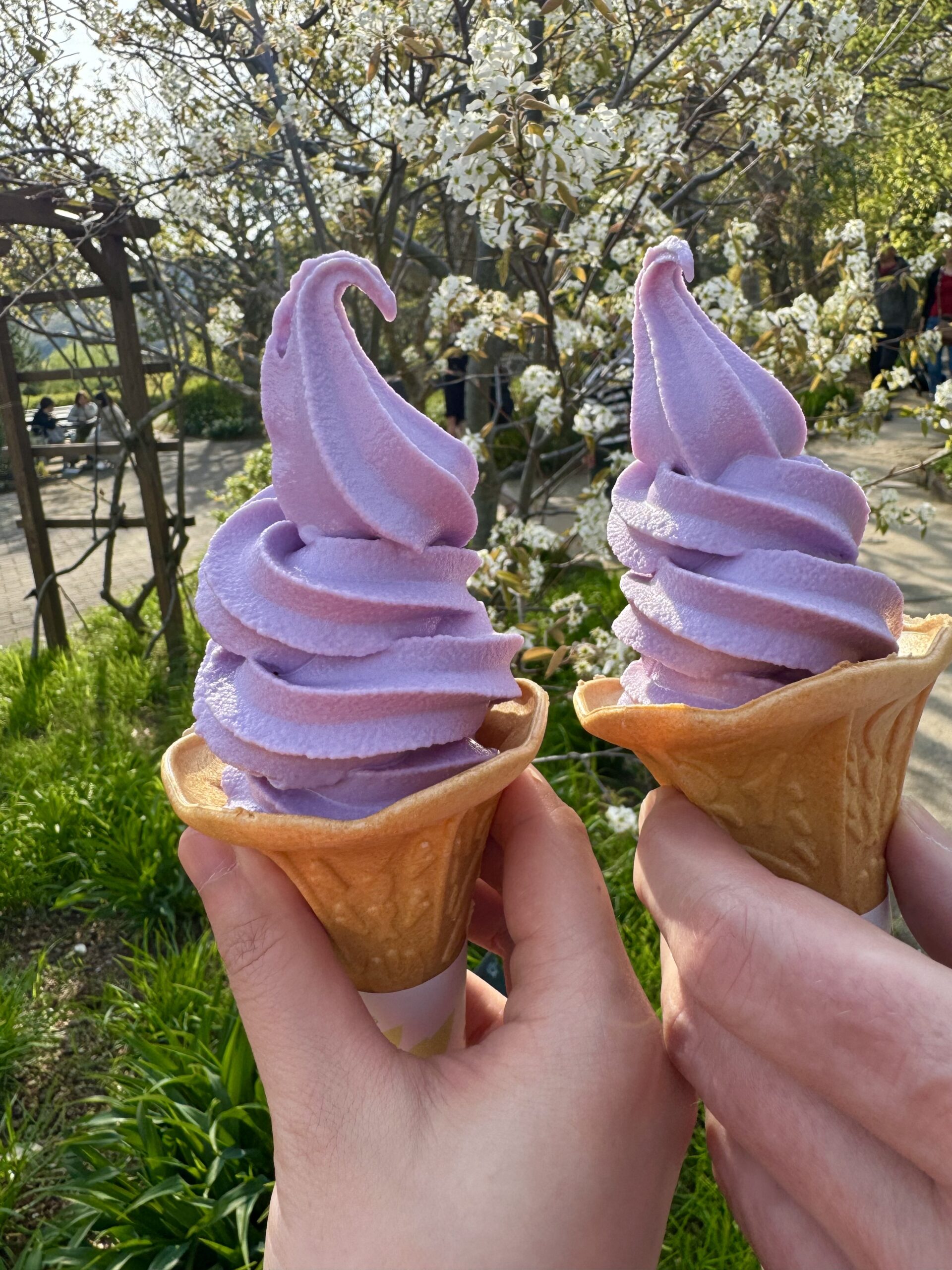 Chloe's Ultimate Travel Guide to Exploring Kobe in 1 Day - The Roads ...