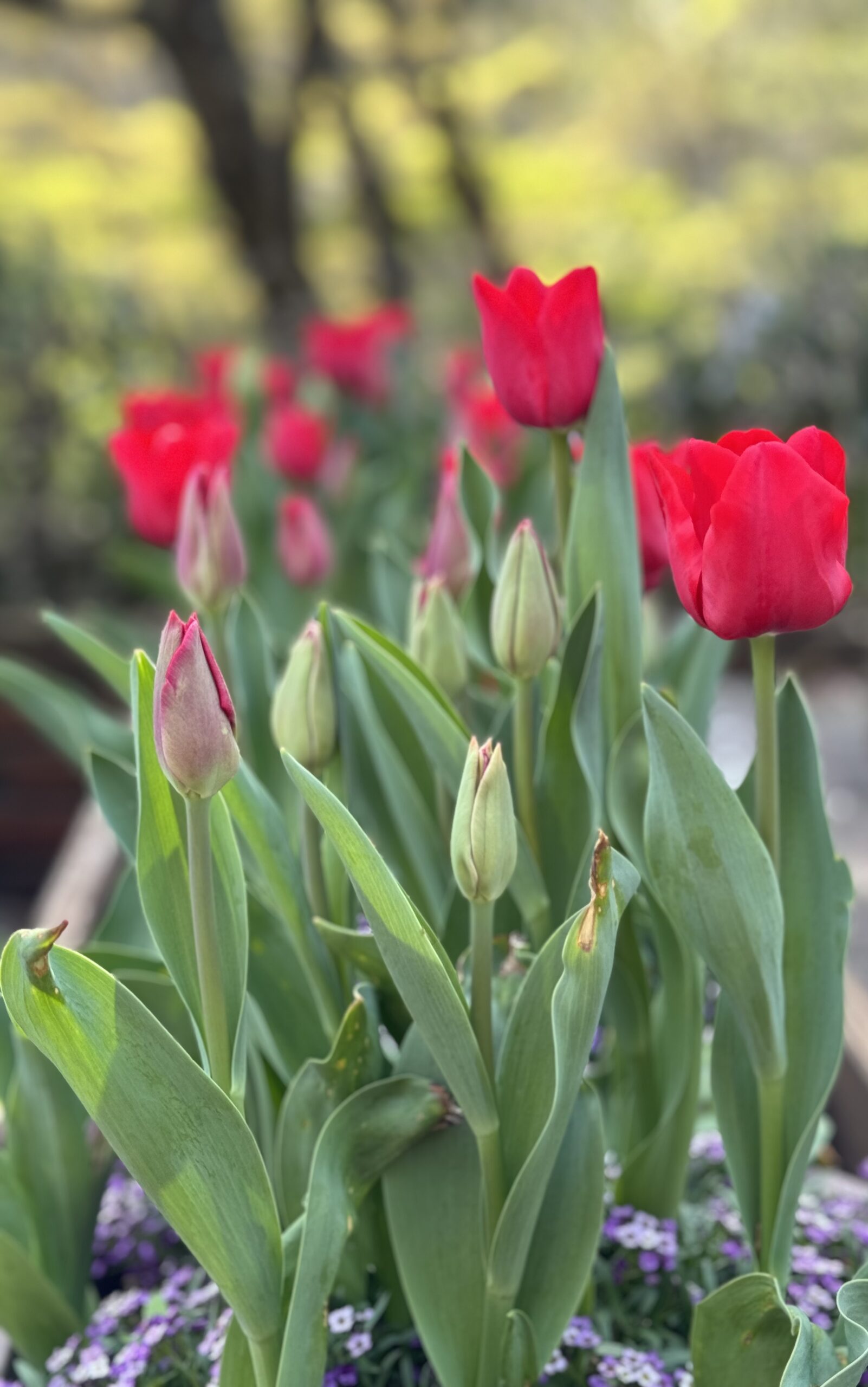 Chloe's Ultimate Travel Guide to Exploring Kobe in 1 Day - The Roads ...