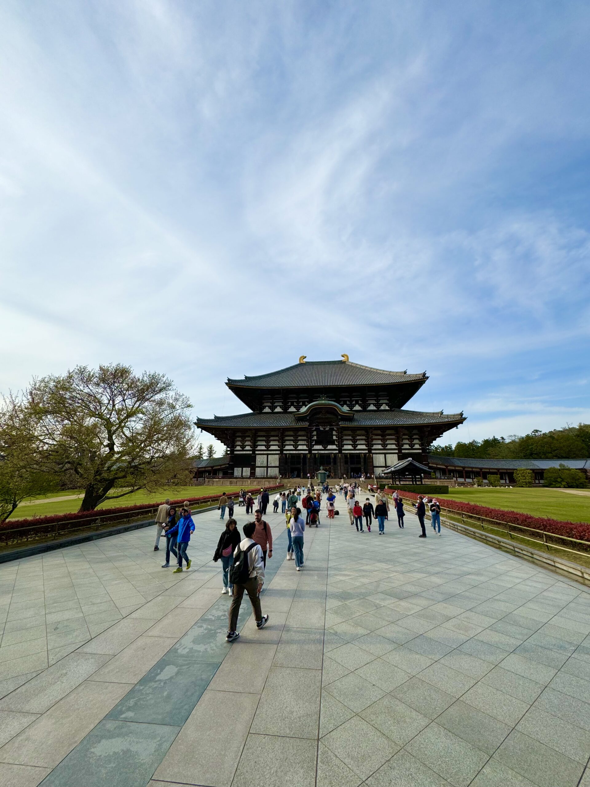 Chloe's Guide to Planning a Day Trip to Nara - The Roads Best Travelled