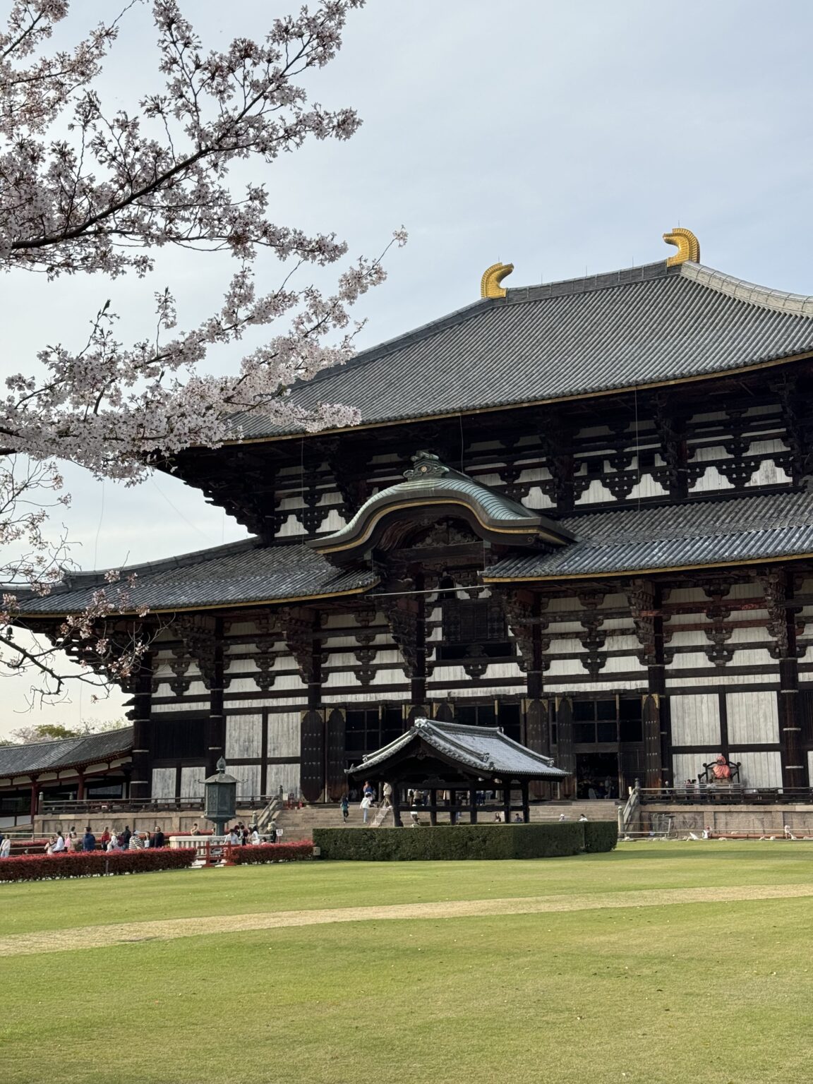 Chloe's Guide to Planning a Day Trip to Nara - The Roads Best Travelled