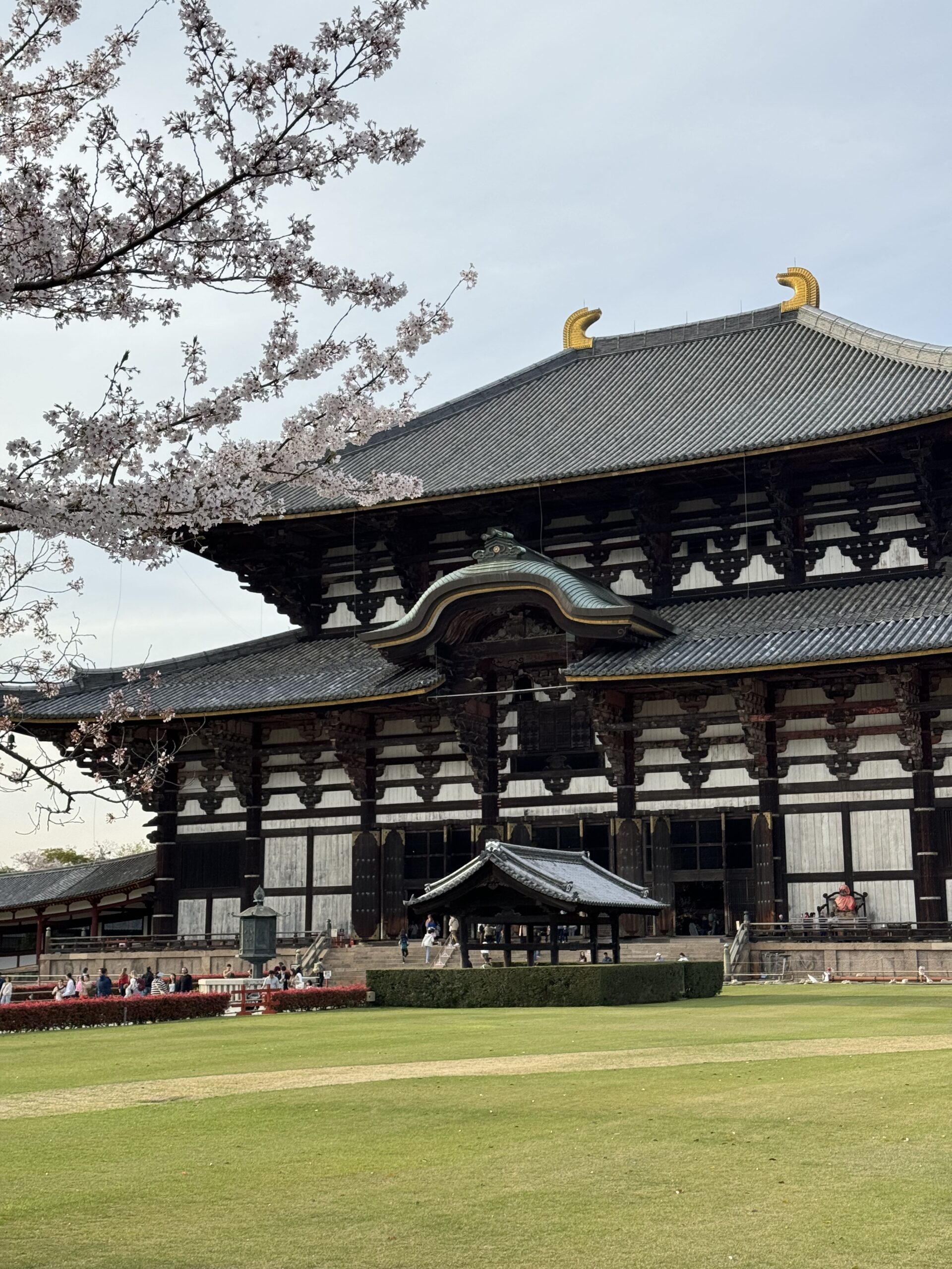 Chloe's Guide to Planning a Day Trip to Nara - The Roads Best Travelled