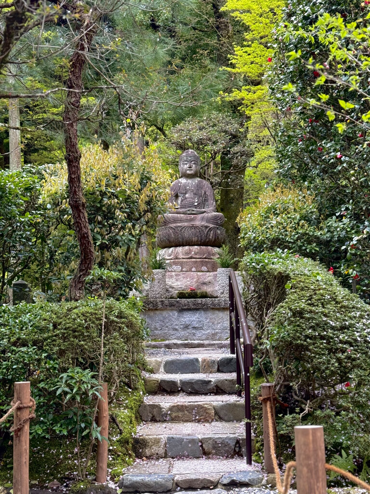 Chloe's Ultimate Travel Guide to Exploring Kyoto in 3 Days - The Roads ...