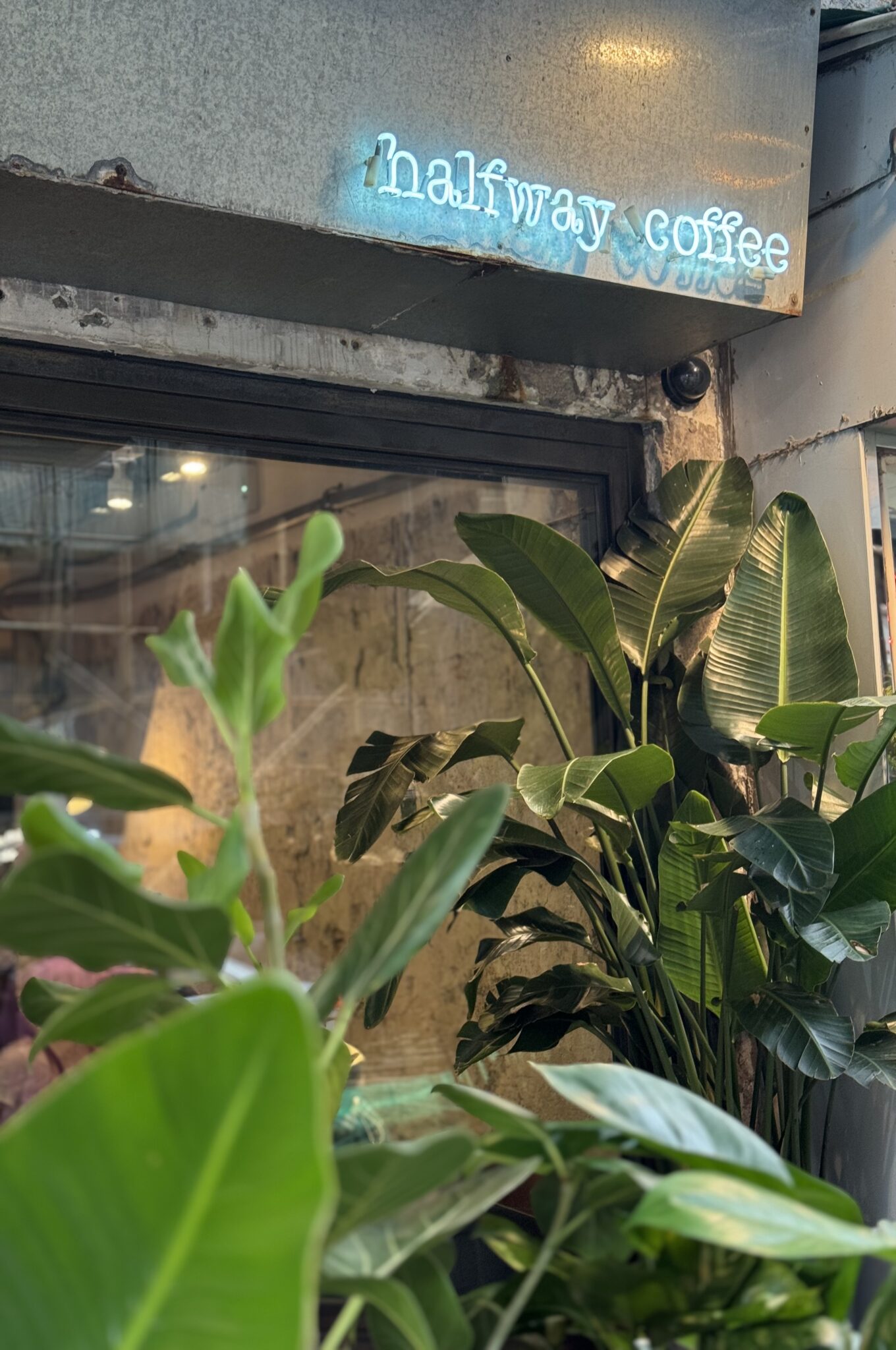 Spend One day in Hong Kong (without losing your mind) - The Roads Best ...