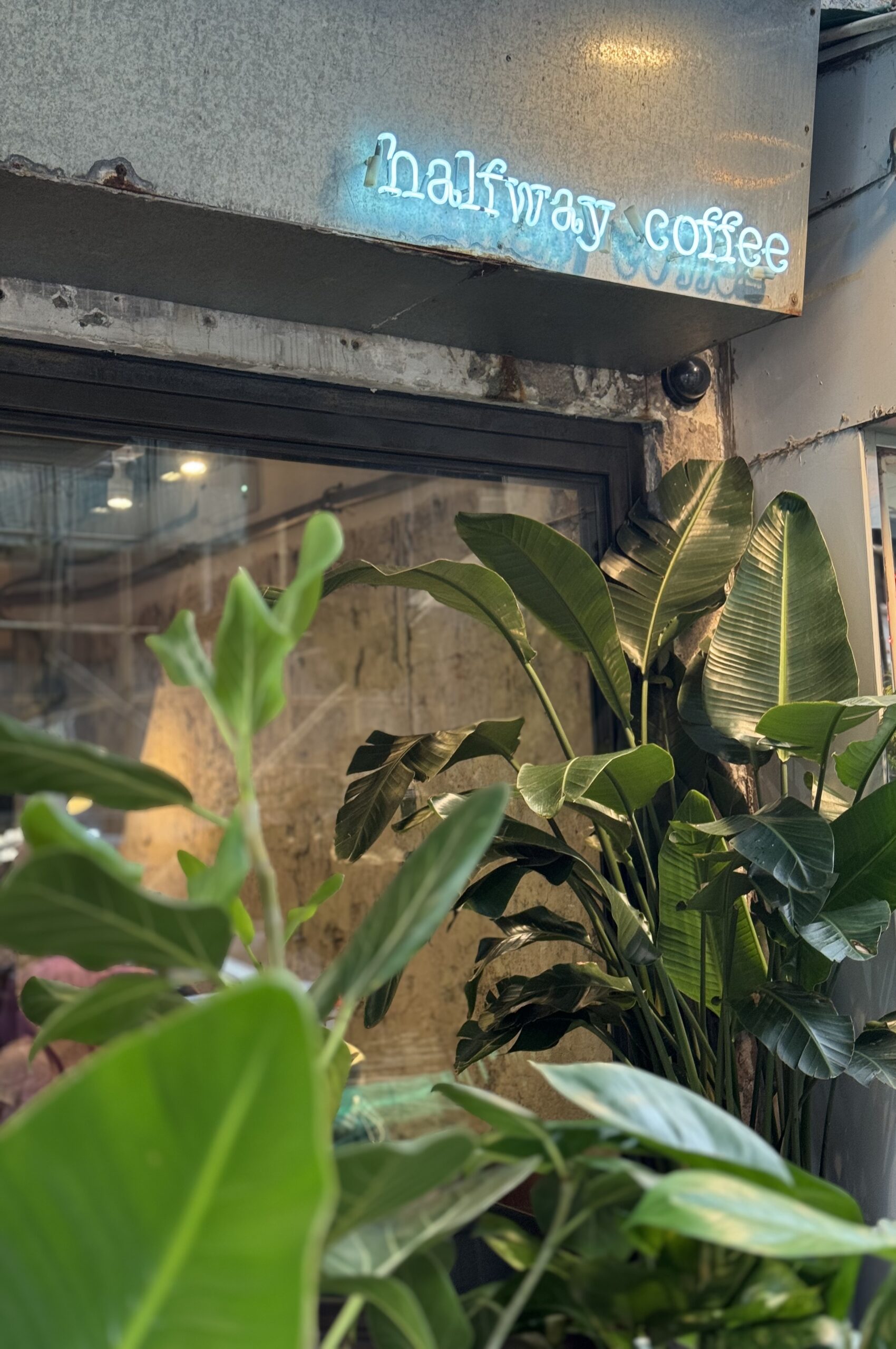 Chloe's Ultimate Travel Guide to Hong Kong - The Roads Best Travelled